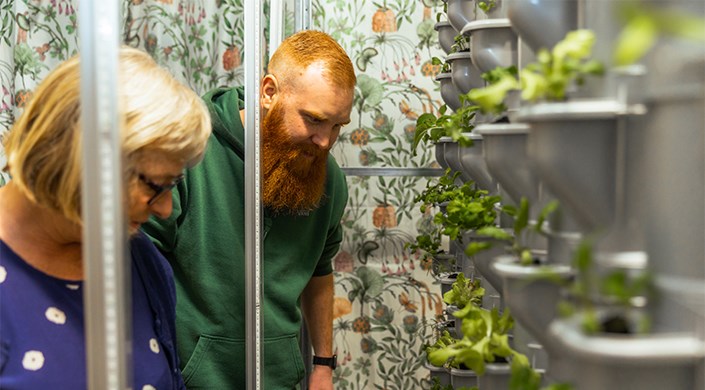 Hydroponisk gemensamhetsodlling