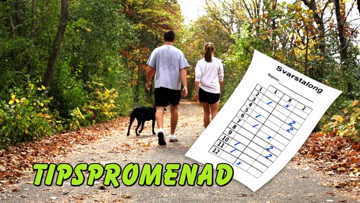 Tipspromenaden