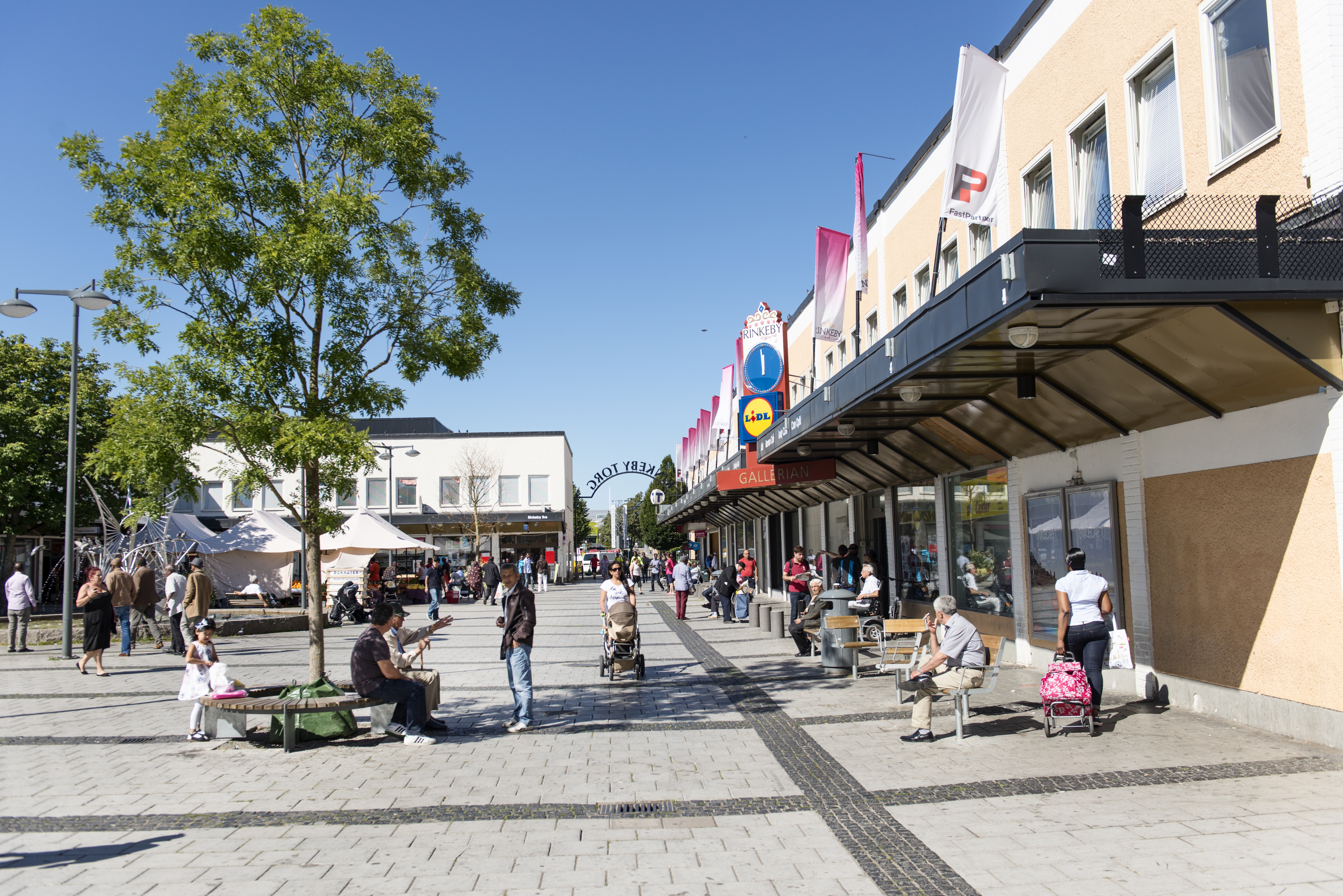 Rinkeby