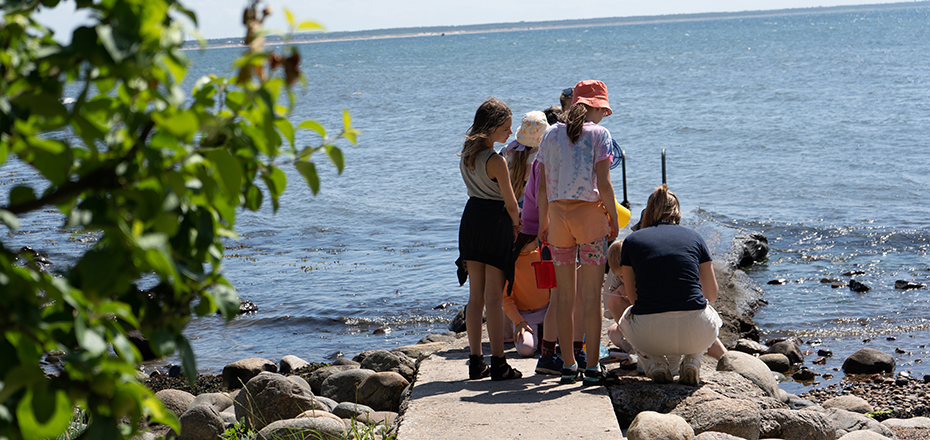 Äntligen barnkollo i Magnarp