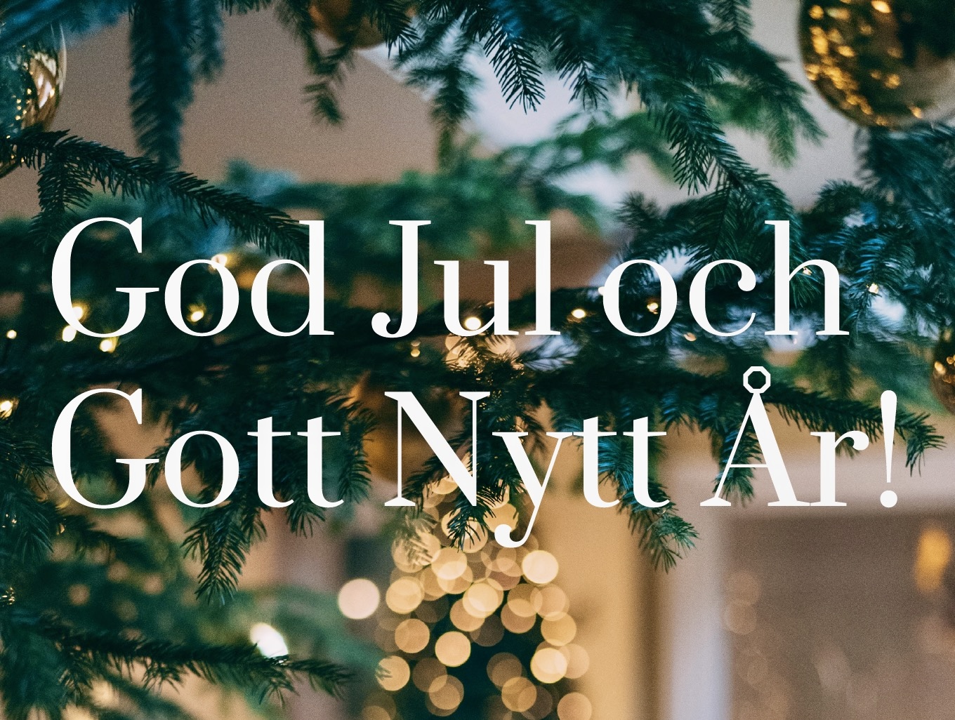 God Jul och Gott Nytt År alla svartvikare!