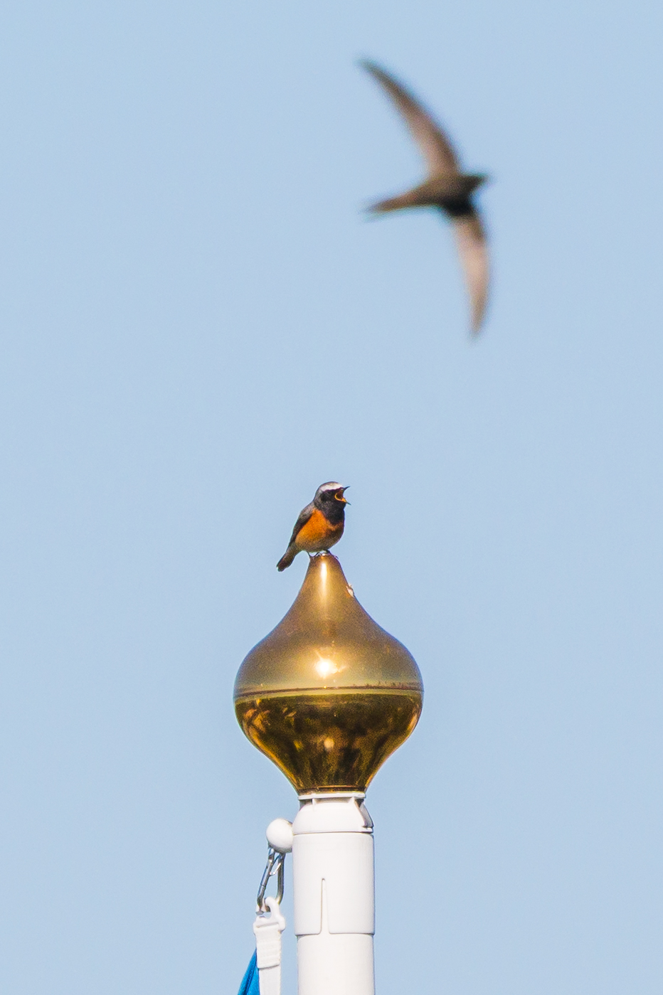 Faktureringsadress, bankgiro, organisationsnummer och registreringsbevis