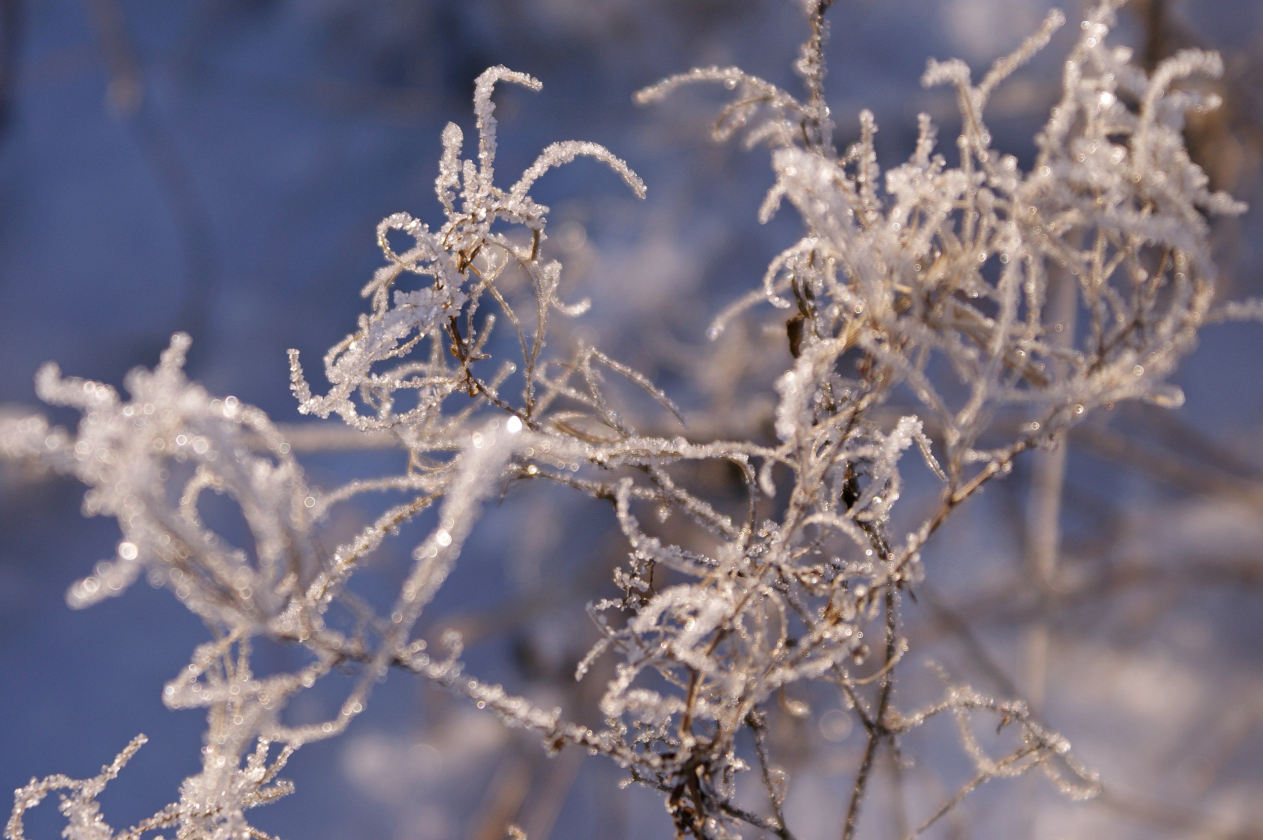 Informationsblad november 2021