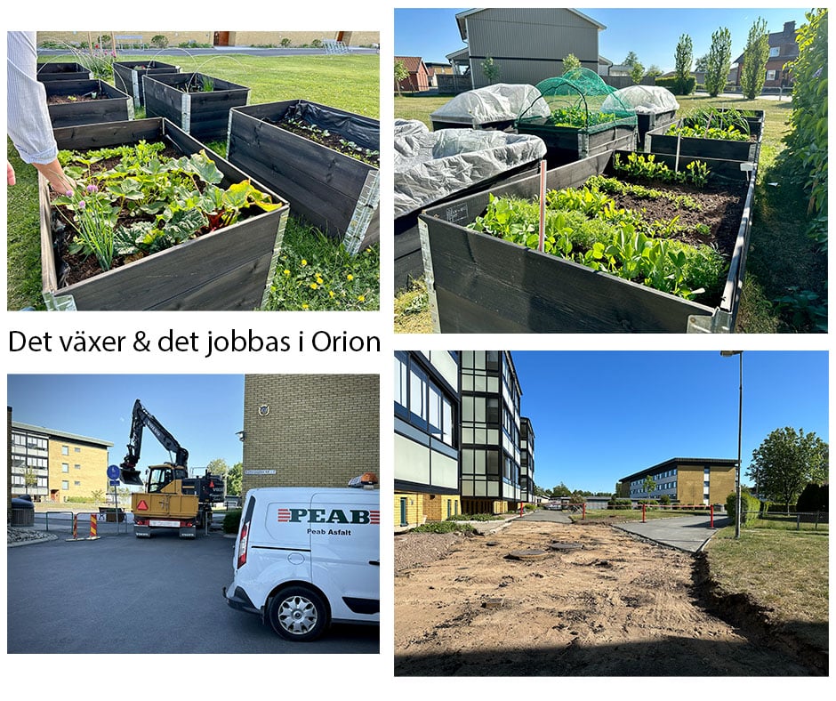 Det växer och det jobbas